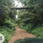 Half-Day Small-Group Madeira Village Safari from Funchal - The Reviews Speak Volumes