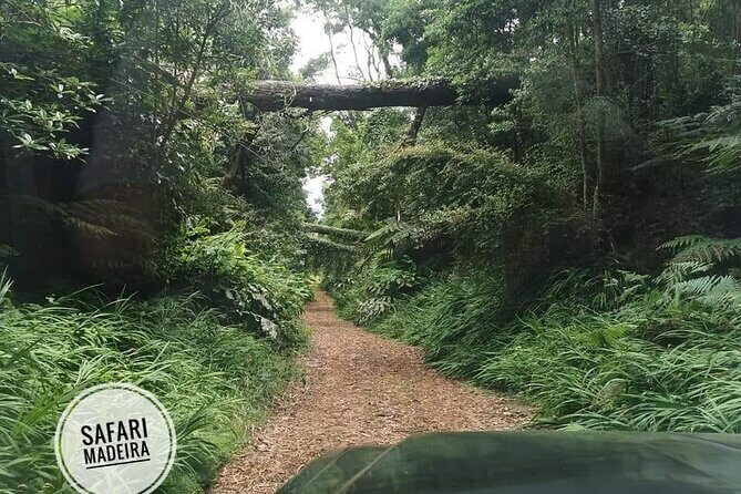 Half-Day Small-Group Madeira Village Safari from Funchal - The Reviews Speak Volumes