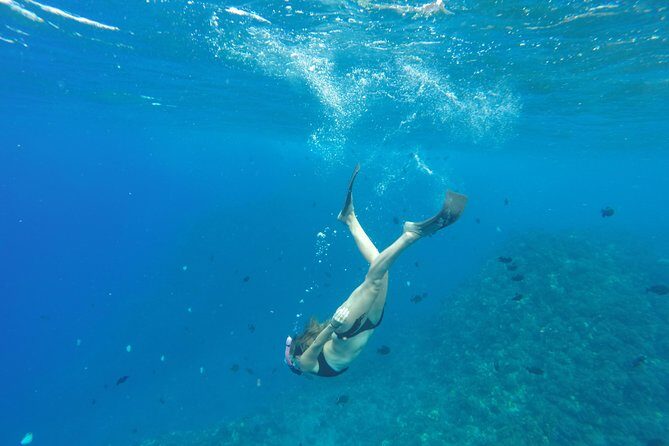 Half Day Snorkel to Lanai from Kaanapali Beach + Dolphin Search - Itinerary Breakdown and Marine Encounters