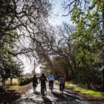 Half Day Tour - Frequently Asked Questions