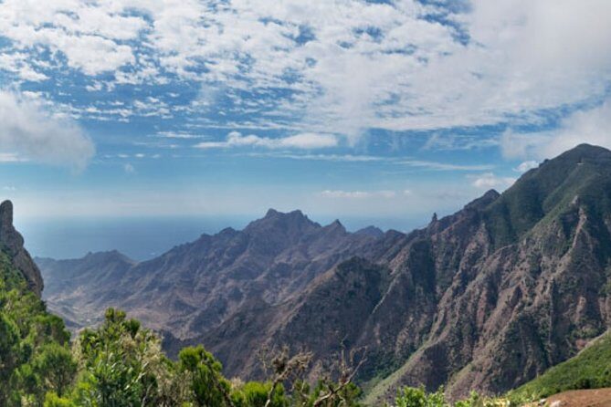 Half Day Tour Discovering Anaga Tenerife - Why We Think This Tour Excels