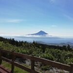 Half Day Tour  Natural Highlights of Faial Island - How the Experience Feels