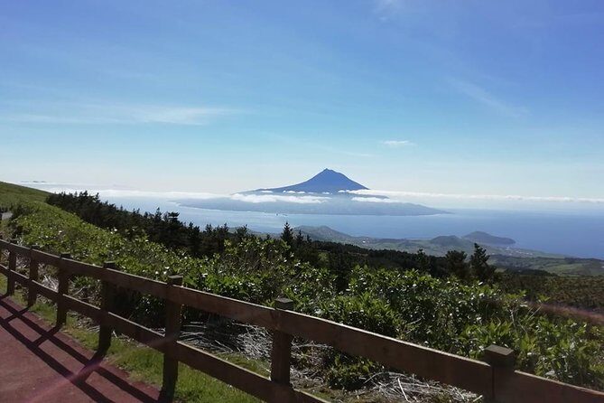 Half Day Tour  Natural Highlights of Faial Island - How the Experience Feels