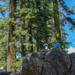 Half Day Tour to Faery Waterfalls, Castle Lake and Mount Shasta - What Makes This Tour Stand Out?