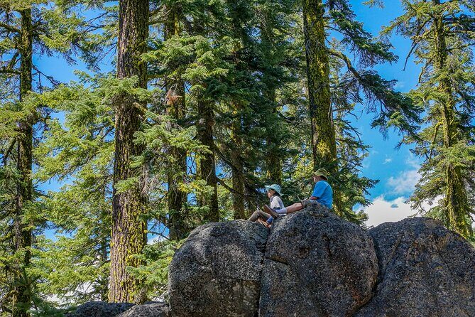 Half Day Tour to Faery Waterfalls, Castle Lake and Mount Shasta - What Makes This Tour Stand Out?