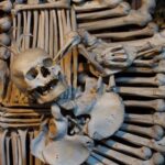 Half-Day Trip to Kutna Hora+Bone Church and Free Time from Prague - The Value of Guided Tours and Included Tickets
