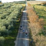 Half Day Vespa Countryside Tour and Tastings in Istria - Who Will Love This Tour?
