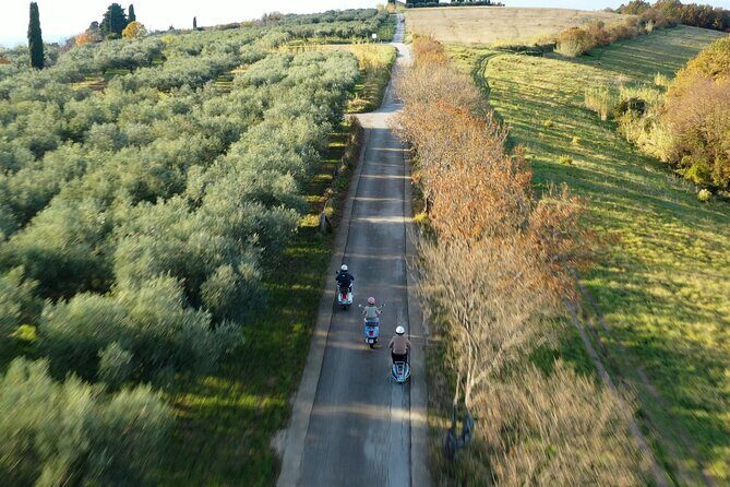 Half Day Vespa Countryside Tour and Tastings in Istria - Who Will Love This Tour?