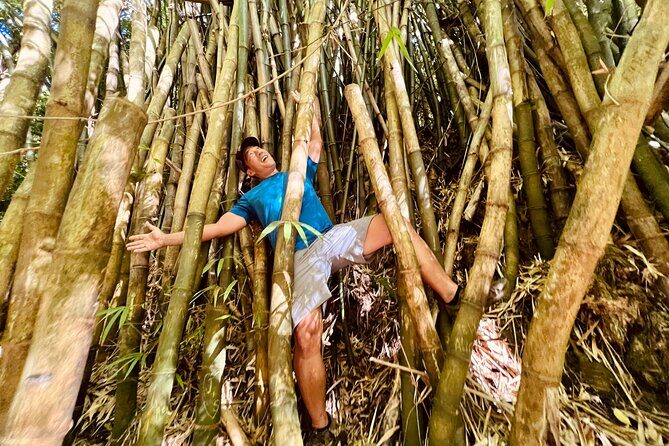 Half-Day Waterfall Tour - Hike, Scenic, Food and Photo - The Itinerary: A Deep Dive into Every Stop
