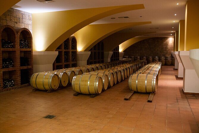 Half Day Wine Tasting with Dinner in Kos - A Taste of Kos: The Wines and Food