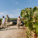 Half Day Wine Tour Around Evora - A Detailed Look at the Évora Wine Tour