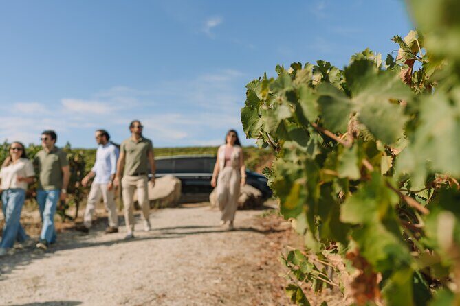 Half Day Wine Tour Around Evora - A Detailed Look at the Évora Wine Tour