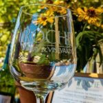 Half-Day Wine Tour Plus Hop-On Hop-Off Bus Pass - What the Reviews Tell Us: Authentic Perspectives
