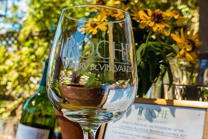 Half-Day Wine Tour Plus Hop-On Hop-Off Bus Pass - What the Reviews Tell Us: Authentic Perspectives