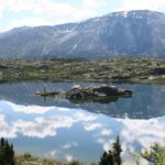 Half Day Yukon Suspension Bridge & Summit Tour - An In-Depth Look at What You Can Expect