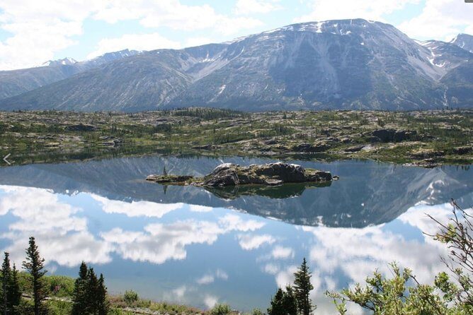 Half Day Yukon Suspension Bridge & Summit Tour - An In-Depth Look at What You Can Expect