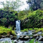 Halfway to Hana Tour of Maui Black Sand Beach Waterfalls Turtles - Who Will Love This Tour?