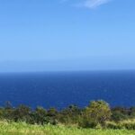 Hamakua Coast Farm Small-Group Walking and Tasting Tour - Post-Tour Freedom to Explore and Purchase