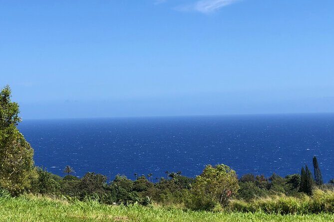 Hamakua Coast Farm Small-Group Walking and Tasting Tour - Post-Tour Freedom to Explore and Purchase