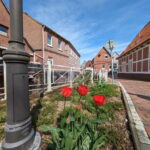 Hamburg Country Side - Altes Land - Who Will Love This Tour?