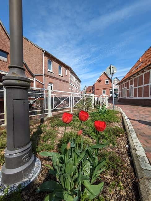 Hamburg Country Side - Altes Land - Who Will Love This Tour?