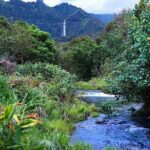 Hana Rainforest Helicopter Flight with Landing from Maui - The Itinerary in Detail
