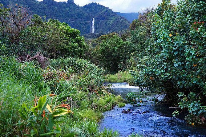 Hana Rainforest Helicopter Flight with Landing from Maui - The Itinerary in Detail