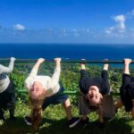Hana Tour Private - Who This Tour Is Best For