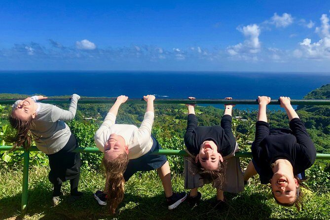 Hana Tour Private - Who This Tour Is Best For
