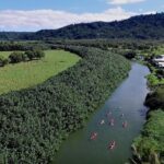 Hanalei Bay Morning Kayak and Snorkel Tour - Who Will Love This Tour?