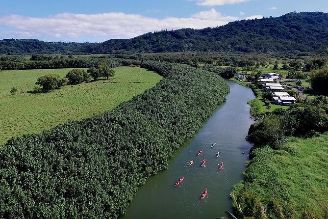 Hanalei Bay Morning Kayak and Snorkel Tour - Who Will Love This Tour?