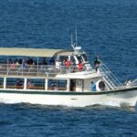 Harbor Lights and Sights Cruise - Practical aspects and what to expect