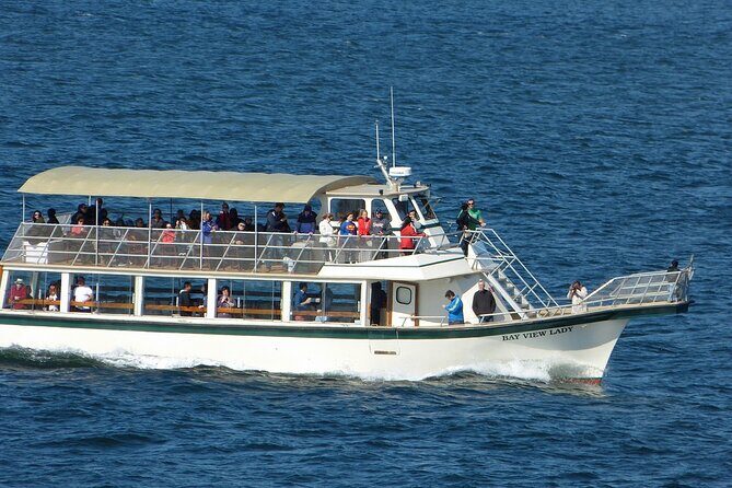 Harbor Lights and Sights Cruise - Practical aspects and what to expect