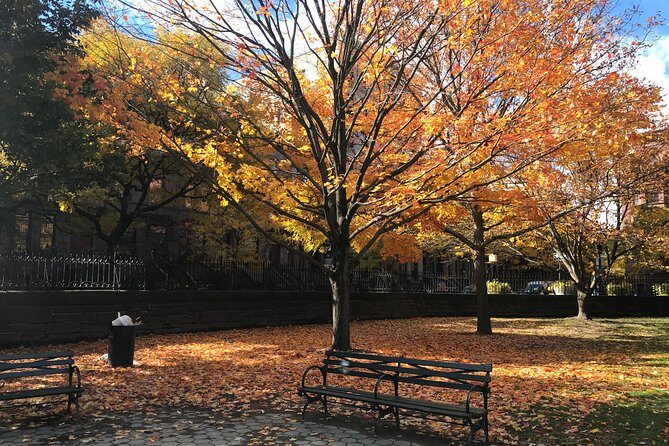 Harlem Walking Tour: Mount Morris Park Historic District w/ Lunch - Why Choose This Tour?