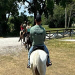 Harmony Horse Riding of Miami - Why You’ll Love the Scenic Trails and Authentic Feel