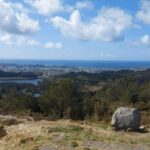 Haugesund: Guided Scenic Minibus tour of Haugesund - Who Will Enjoy This Tour?