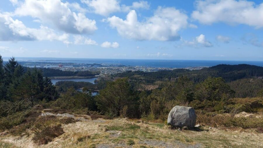 Haugesund: Guided Scenic Minibus tour of Haugesund - Who Will Enjoy This Tour?