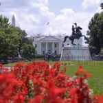 Haunted Washington D.C. Booze and Boos Ghost Walking Tour - What Travelers Say