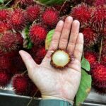 Hawaii Off The Beaten Path Food Tour - Sampling Filipino and Hawaiian Classics