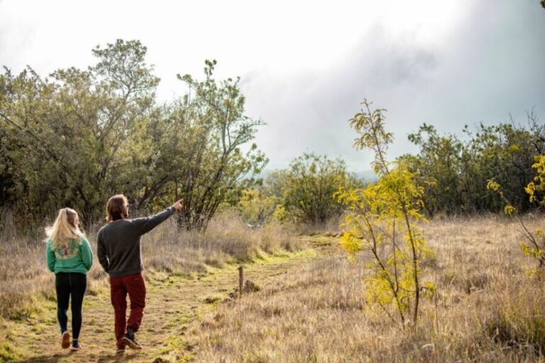 Hawaii: Private All-Inclusive High Country Adventure - Exploring the Mauna Kea Forest Reserve