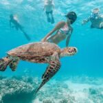 Hawaii Snorkeling with Turtles Boat Tour in Waikiki - Balancing Value and Experience
