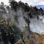 Hawaii Volcanoes National Park Experience Departing From Maui - Insights from Reviews