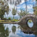Hawaii Volcanoes National Park Experience Departing from Oahu - Who Will Love This Tour?