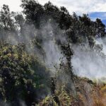 Hawaii Volcanoes National Park Experience from Kauai - The Sum Up