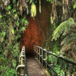 Hawaii Volcanoes National Park Experience from Kauai - What Travelers Say: Authentic Insights from the Reviews