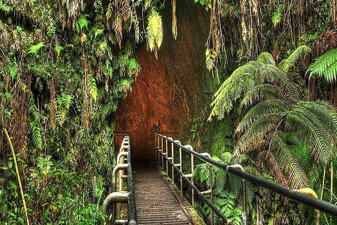 Hawaii Volcanoes National Park Experience from Kauai - What Travelers Say: Authentic Insights from the Reviews