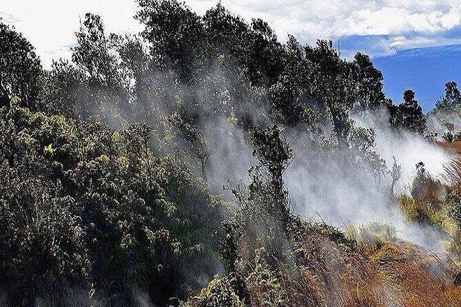 Hawaii Volcanoes National Park Experience from Maui - Who Should Consider This Tour?