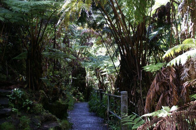 Hawaii Volcanoes National Park Experience From the Big Island - Authentic Experiences and Guest Feedback
