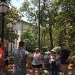 Heart of Savannah History Walking Tour - 2hr - Who Should Book This Tour?