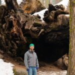 Heart of the Giant Forest Hike - Value and Pricing—Is It Worth It?